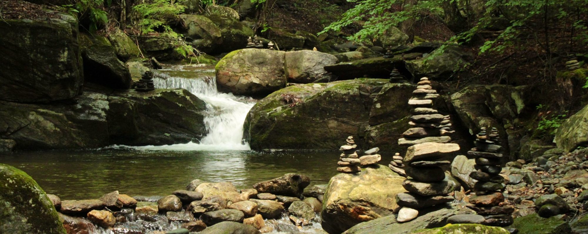 Mountain Mind & Movement – Integrative Therapies