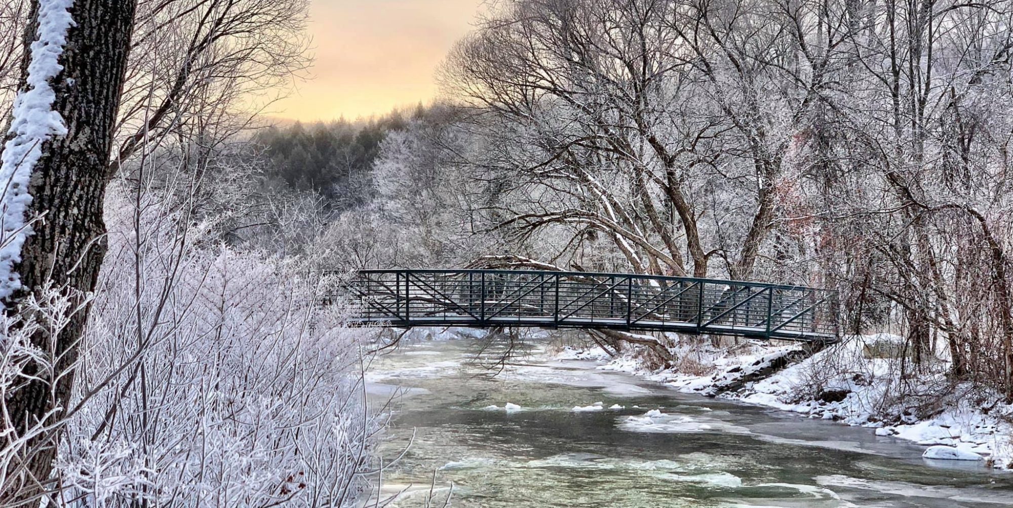 Mountain Mind & Movement – Integrative Therapies